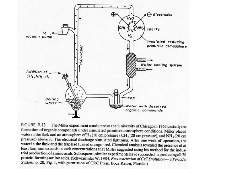 Chapter 14 Origin of Life Pasteurs Experiment Theories