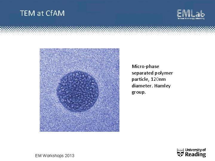 Transmission Electron Microscopy Peter Harris www reading ac