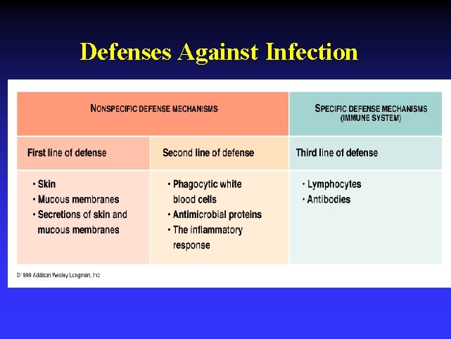 Chapter 8 Biology 25 Human Biology Prof Gonsalves