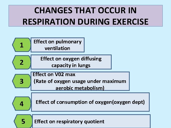 RESPIRATION DURING EXERCISE CHANGES THAT OCCUR IN RESPIRATION
