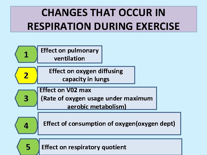 RESPIRATION DURING EXERCISE CHANGES THAT OCCUR IN RESPIRATION
