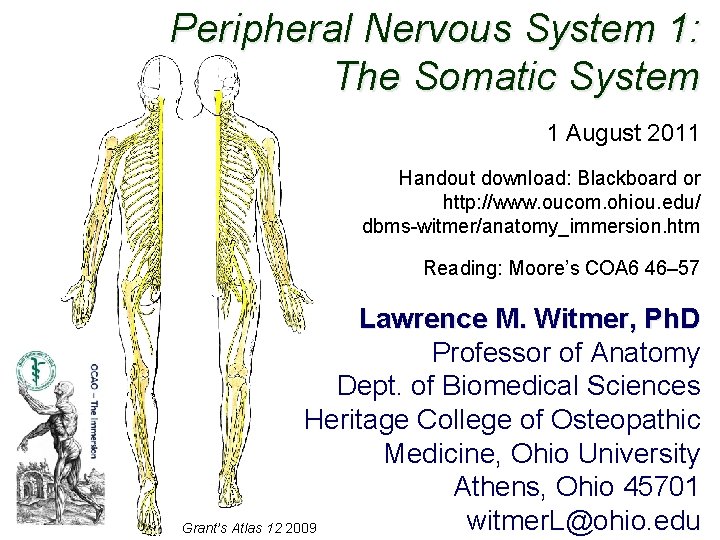 Peripheral Nervous System 1 The Somatic System 1