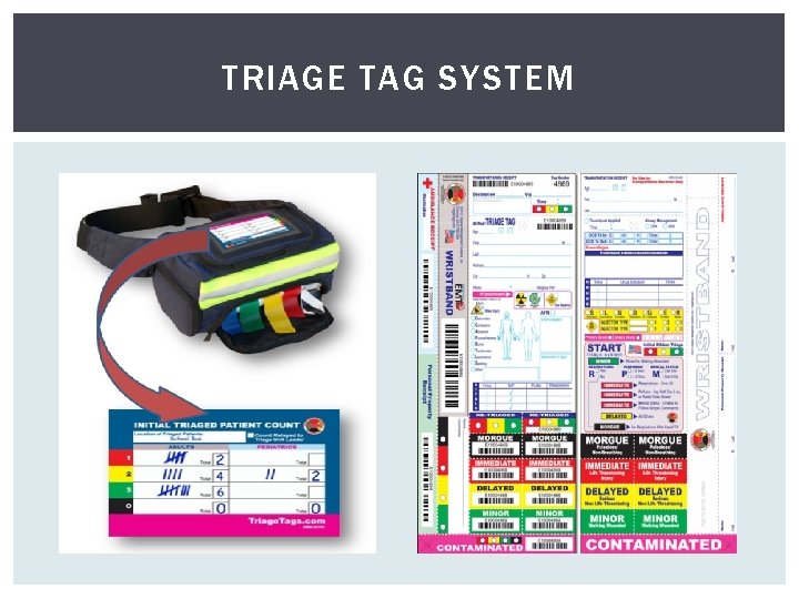 DISASTER PREPAREDNESS IN WASHOE COUNTY Christina Conti Preparedness