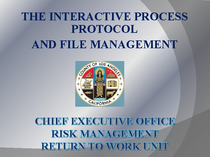 THE INTERACTIVE PROCESS PROTOCOL AND FILE MANAGEMENT CHIEF
