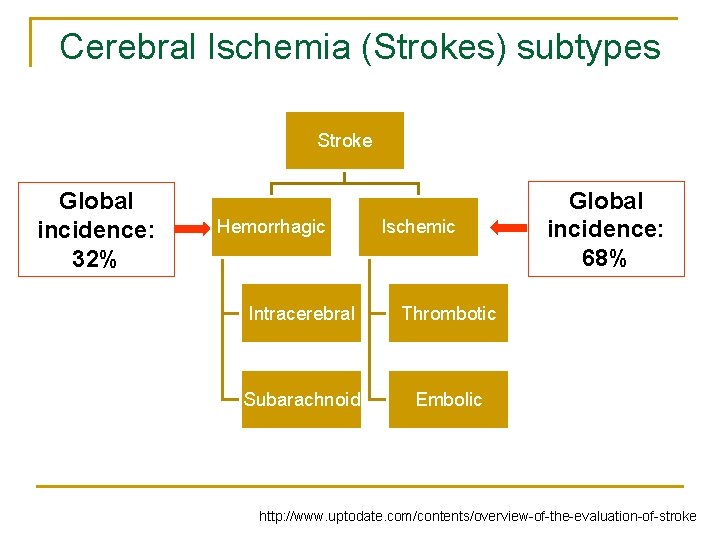 Pathogenesis of Cerebral Infarction at Cellular Molecular Levels