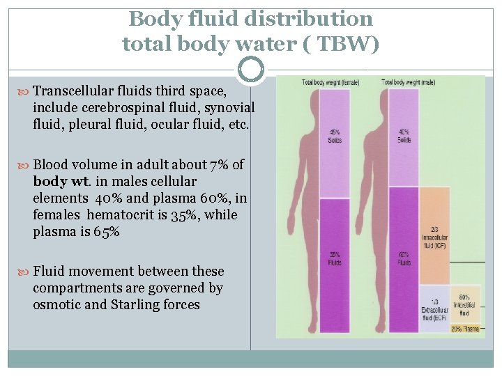 Body Fluids Balance MOHAMED O EZWAIE MD ASSOCIATE
