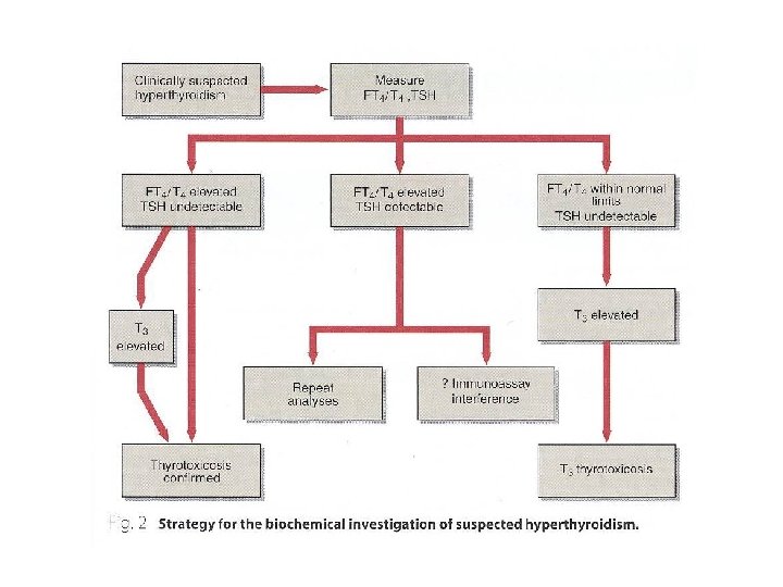 Biochemistry of Thyroid Hormones and Thermogenesis Endocrine Block