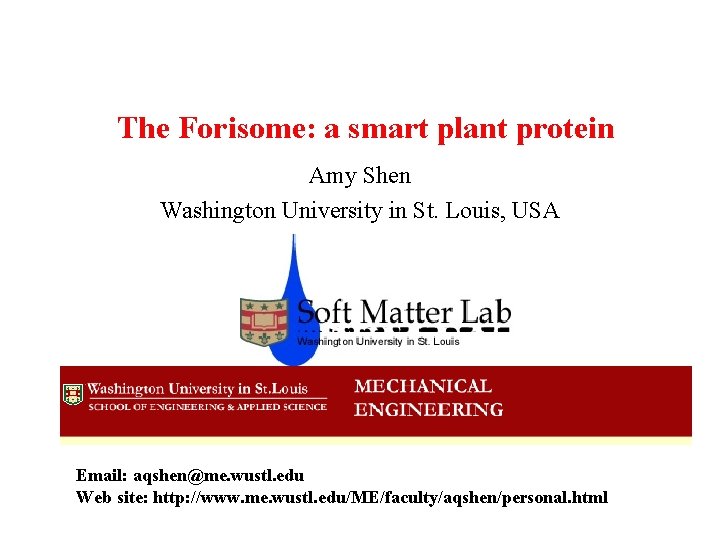 The Forisome a smart plant protein Amy Shen