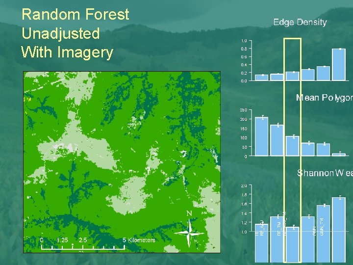 Random Forests and Nearest Neighbors Methods for mapping