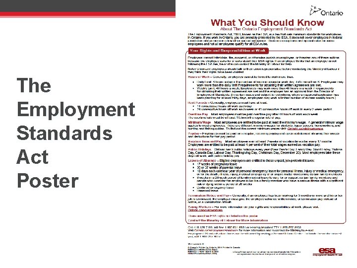Human Resources Legislation Guidelines and Laws for Managing