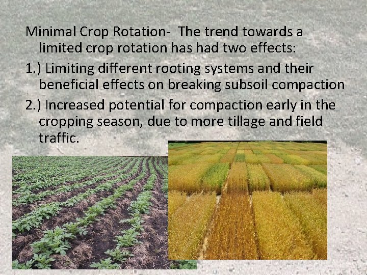 SOIL COMPACTION What is Soil Compaction What is