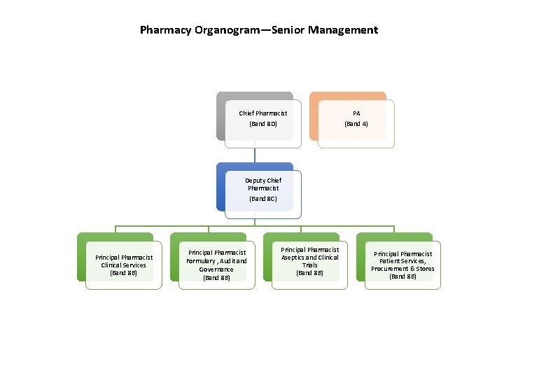 Pharmacy OrganogramSenior Management Chief Pharmacist Band 8 D