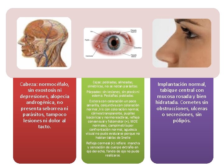 SNG identificacin 4 058 394 84 aos M
