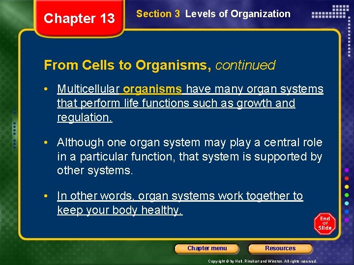 Chapter 13 Section 3 Levels of Organization Objectives