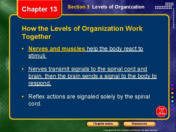 Chapter 13 Section 3 Levels of Organization Objectives