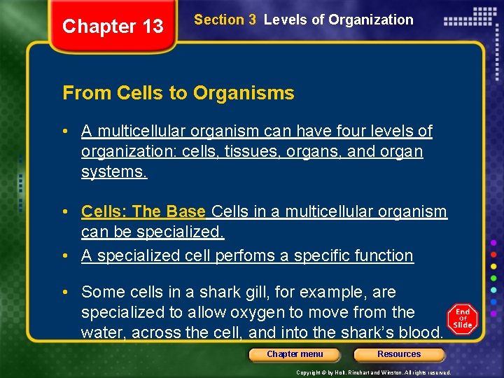 Chapter 13 Section 3 Levels of Organization Objectives