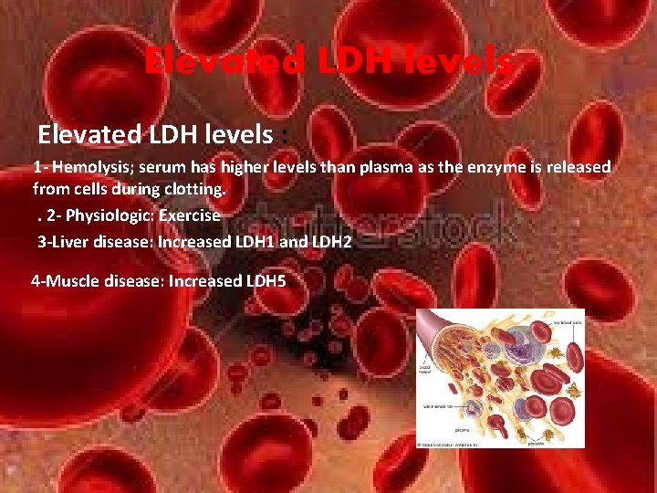 Heart profile Human heart What Is the Heart