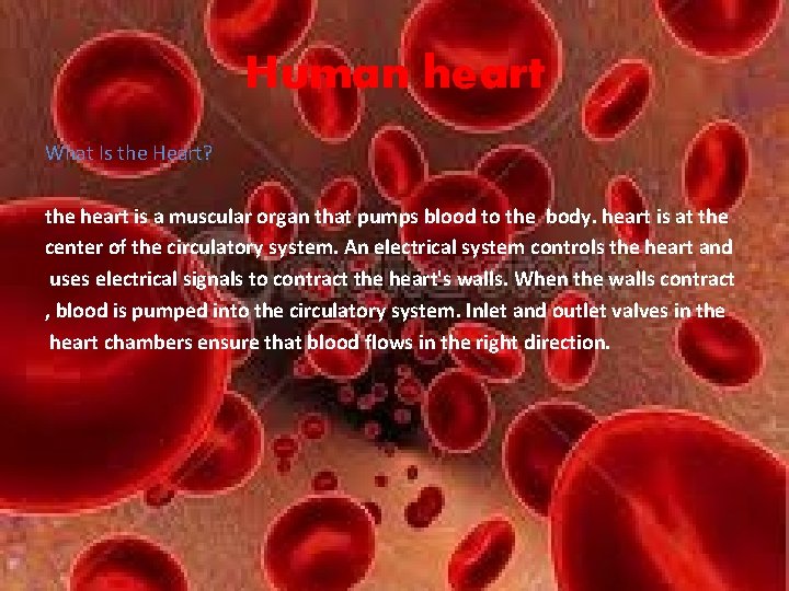 Heart profile Human heart What Is the Heart
