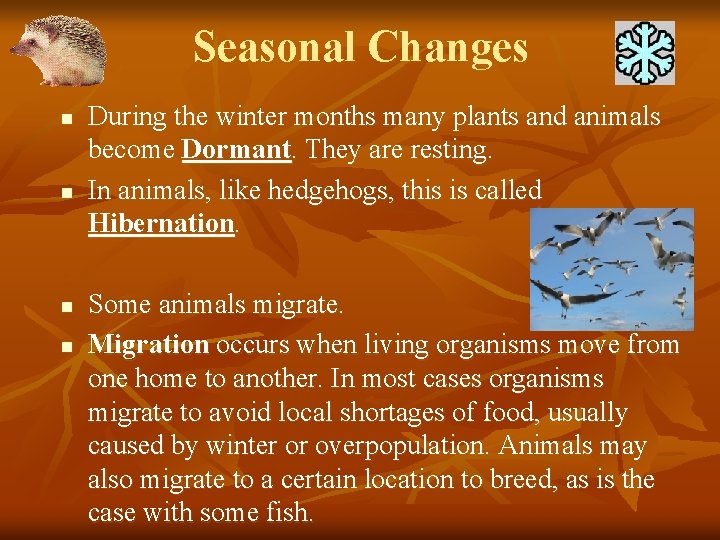 Animals Daily and Seasonal changes 25 th April