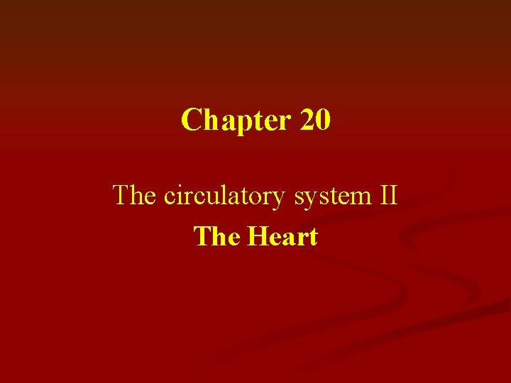 Chapter 20 The circulatory system II The Heart