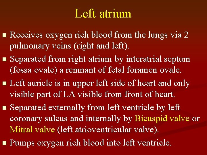 Chapter 20 The circulatory system II The Heart