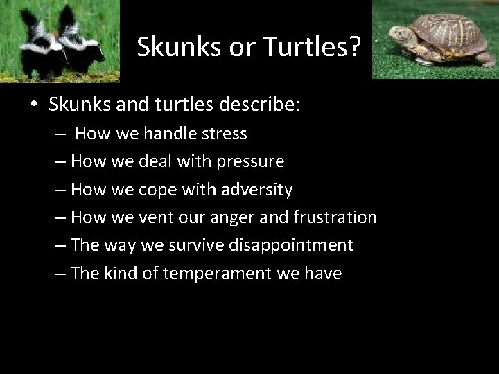 Are you a Skunk Are you a Turtle