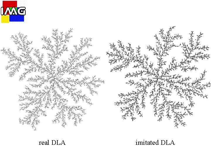 Modeling Dendritic Structures Using Path Planning Ling Xu