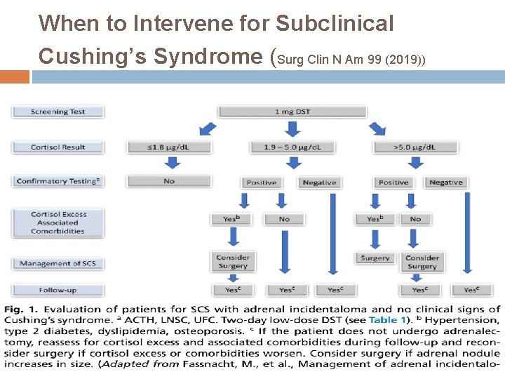 IN THE NAME OF GOD BILATERAL ADRENAL HYPERPLASIA