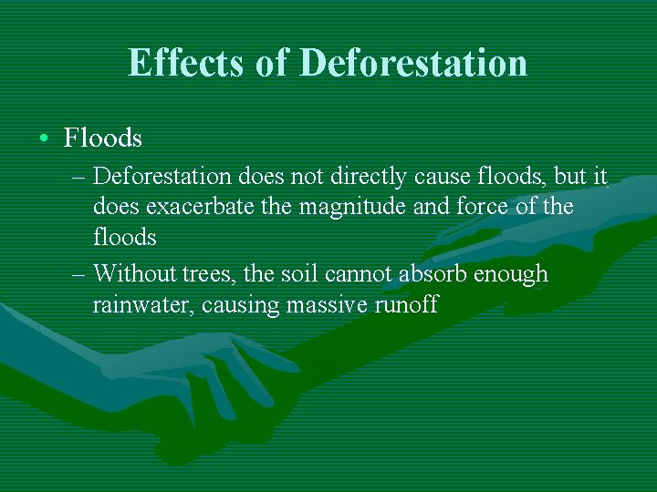 DEFORESTATION How Forests Reduce Natural Hazards Trees prevent