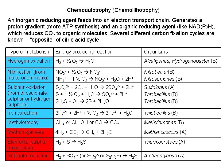Metabolism breaking molecules down and building up new