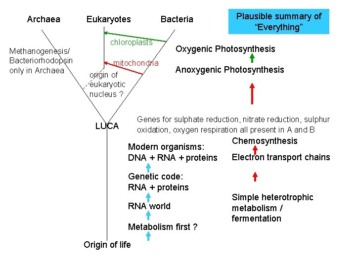 Metabolism breaking molecules down and building up new