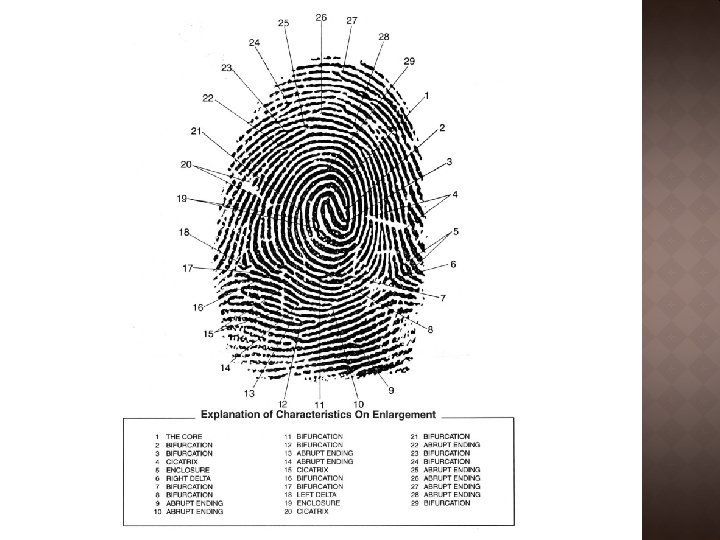 Fingerprints cannot lie but liars can make fingerprints