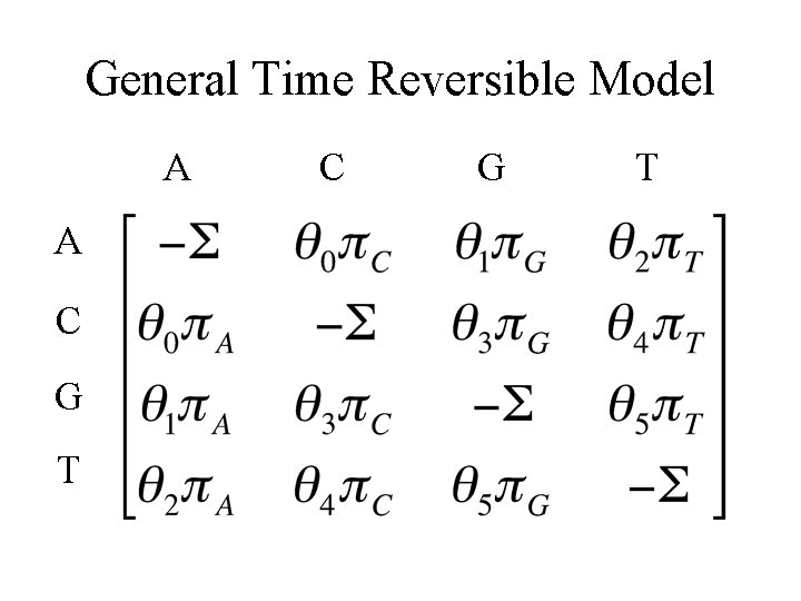 Goals of Phylogenetic Analysis Given a multiple sequence