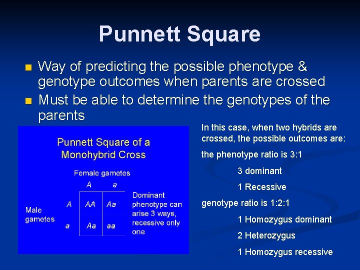 Life Science Chapter 4 Human Genetics Meiosis Gregor
