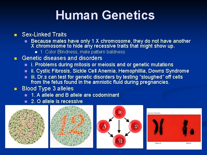 Life Science Chapter 4 Human Genetics Meiosis Gregor