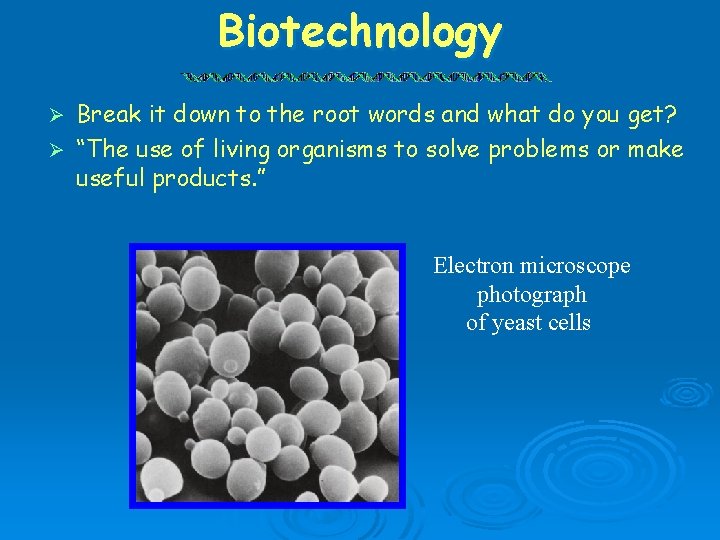 What is Biotechnology Biotechnology Break it down to