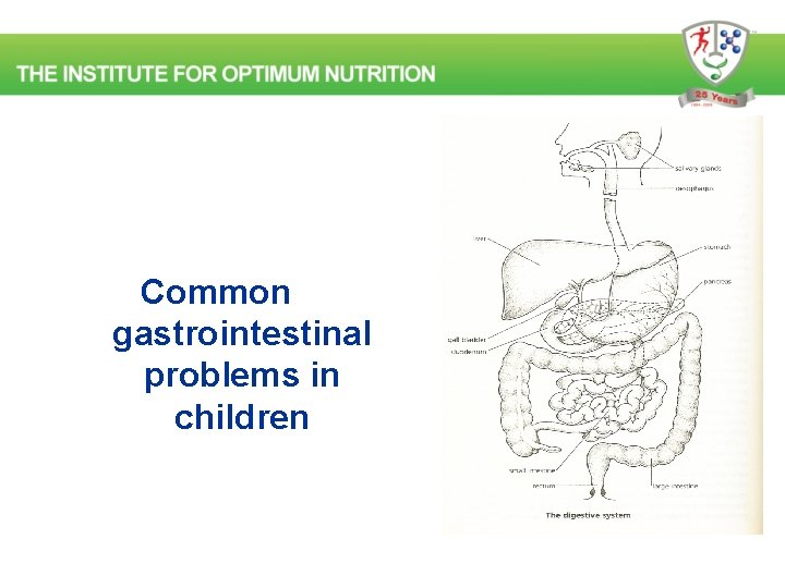 The Power of Nutrition Childrens Health and Digestive
