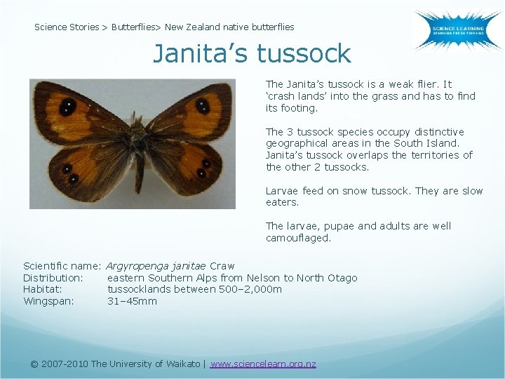 Science Stories Butterflies New Zealand native butterflies Red