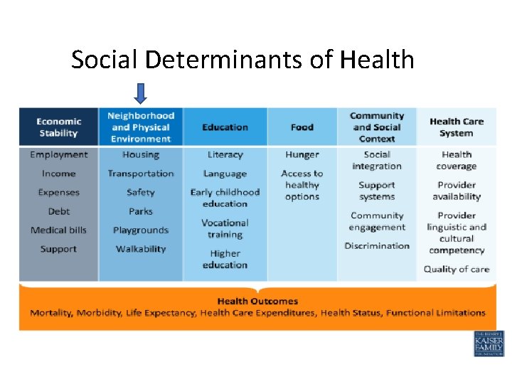 Virtual Meeting on Social Determinants of Health Research