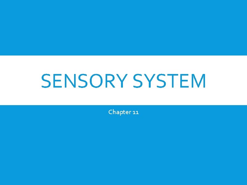 SENSORY SYSTEM Chapter 11 SENSES Monitor and detect