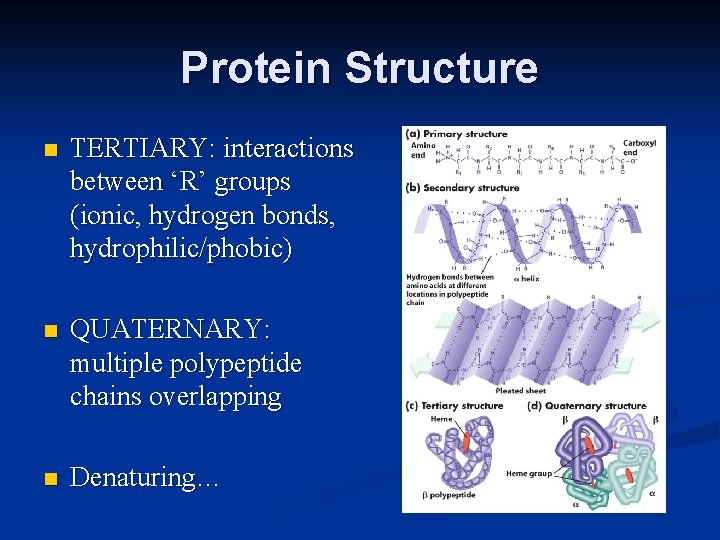 Basic Biochemistry Water Carbon and Functional Groups Water