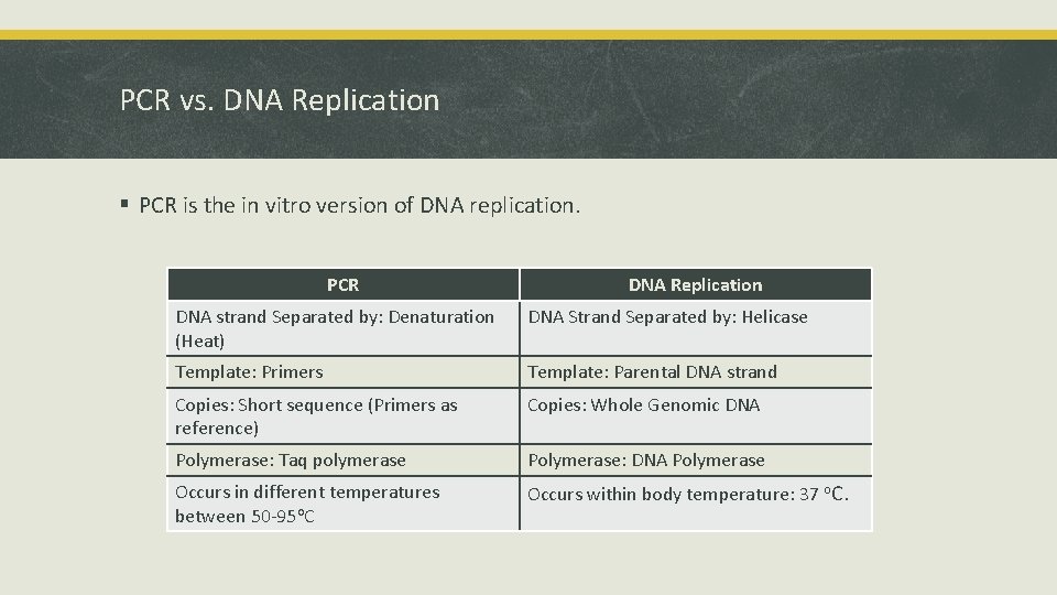Crime Lab Missy Baker is Missing Blonde hair