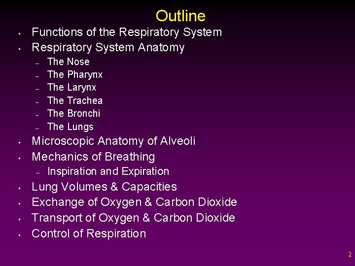 The Respiratory System Chapter 13 1 Outline Functions