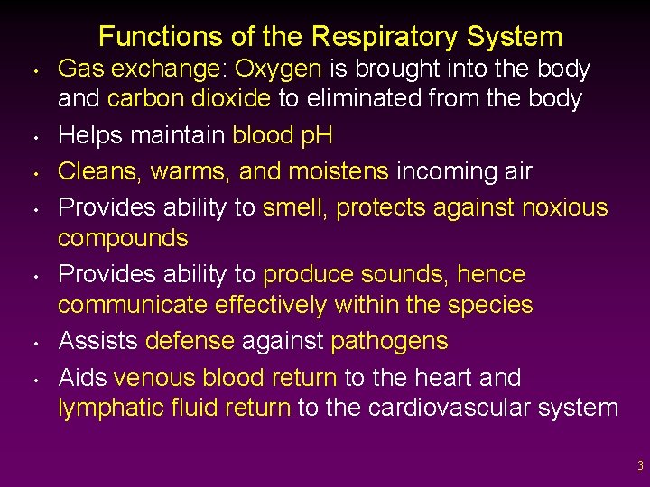 The Respiratory System Chapter 13 1 Outline Functions