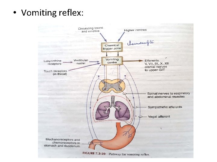 Gastric motility Vomiting Dr Ahrsia V F Department