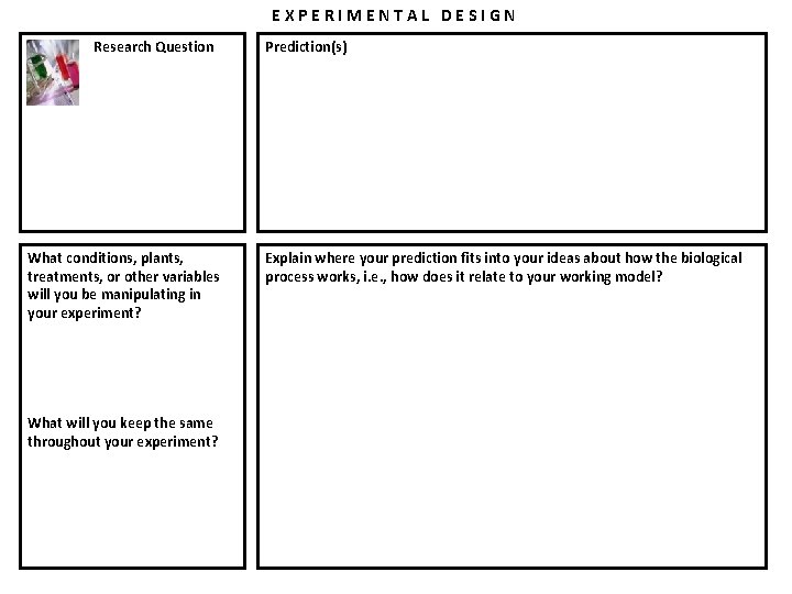 Questions Ideas BRAINSTORMING PAGE We plan to study