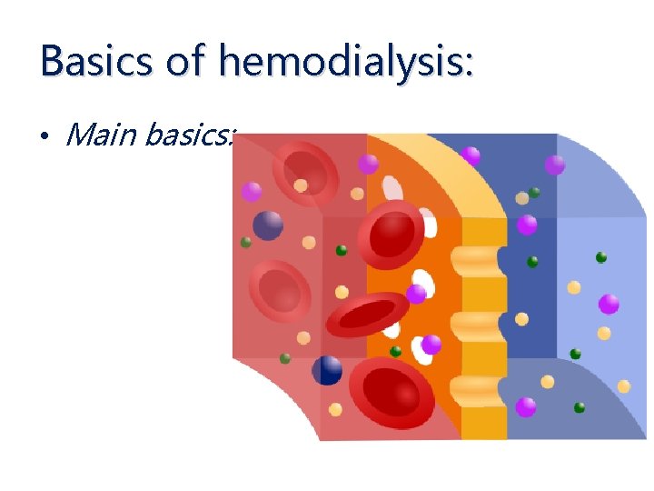 Spotlight on general principles of hemodialysis Mohammed Wahba