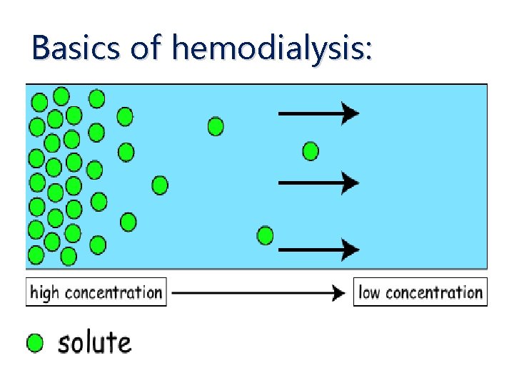 Spotlight on general principles of hemodialysis Mohammed Wahba