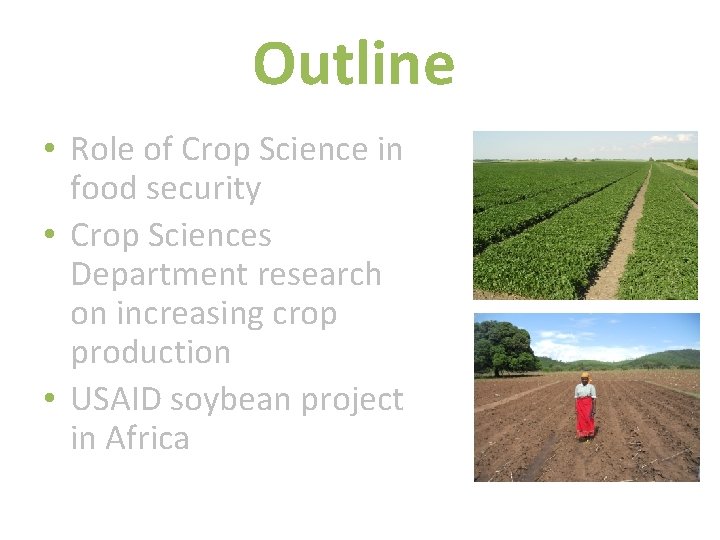 Crop Science in Food Security Brian Diers Outline