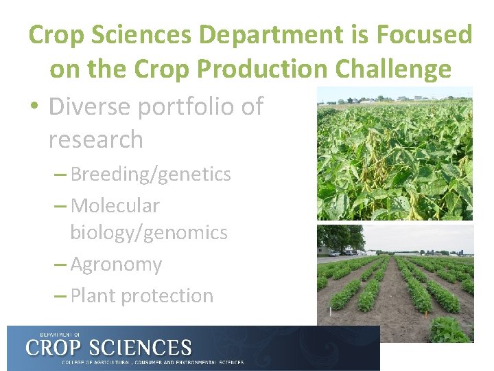 Crop Science in Food Security Brian Diers Outline